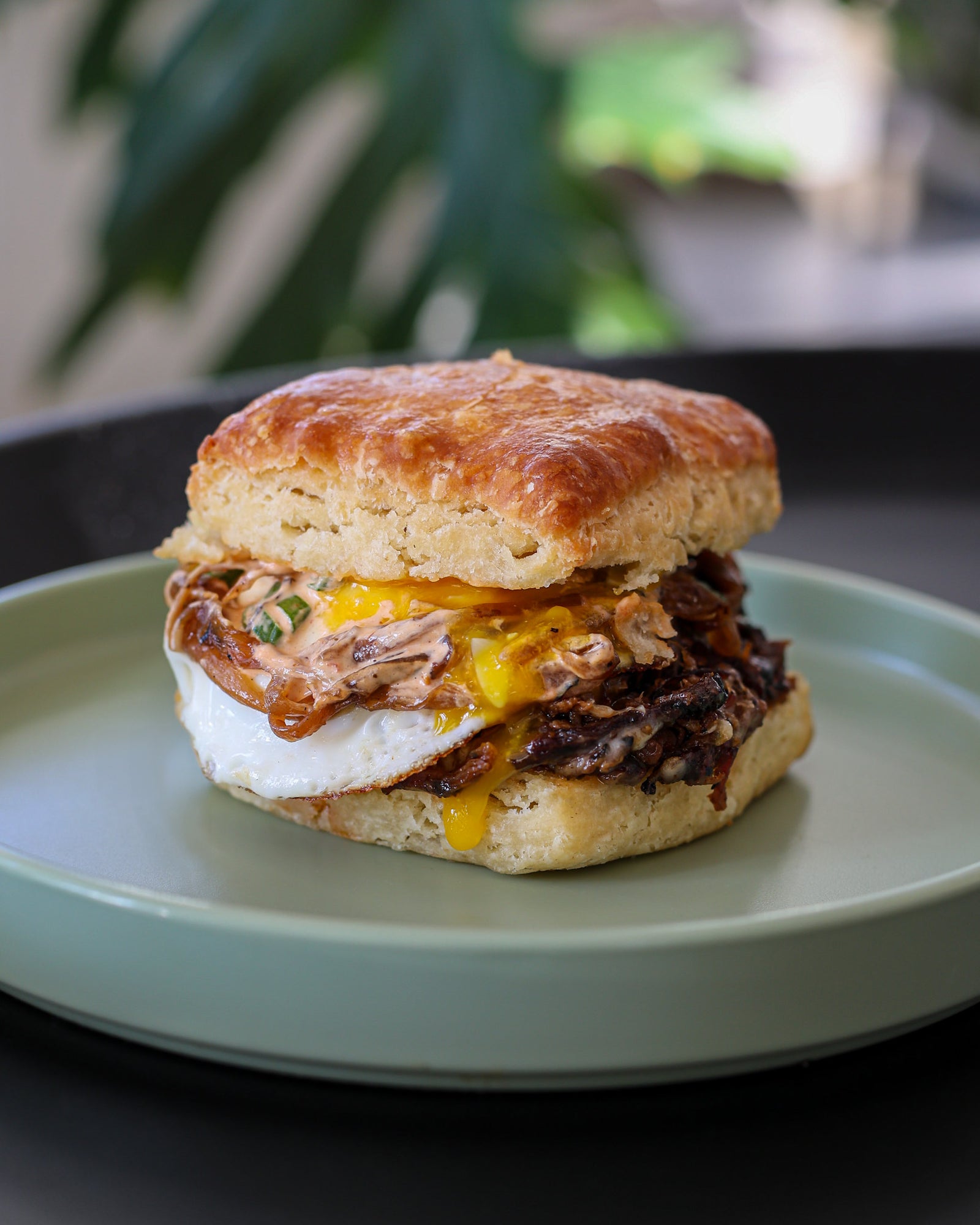 Origin Coffee Bar | Specialty Coffee Roaster in Savannah & Hilton Head